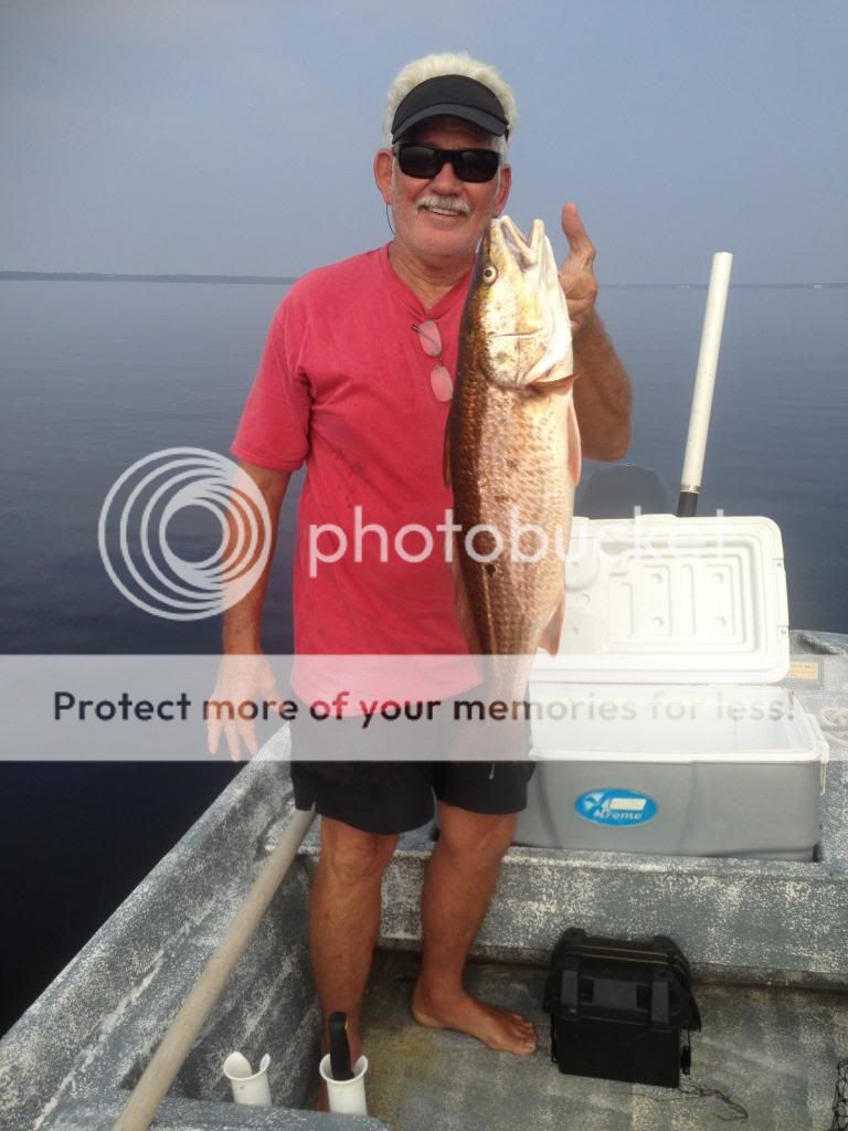 16 foot stumpknocker, | Dedicated To The Smallest Of Skiffs