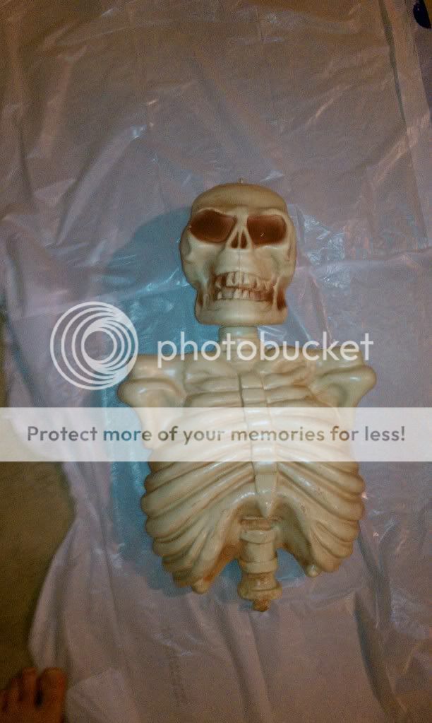 Static: - My Crispy Burned Skeleton | Halloween Forum