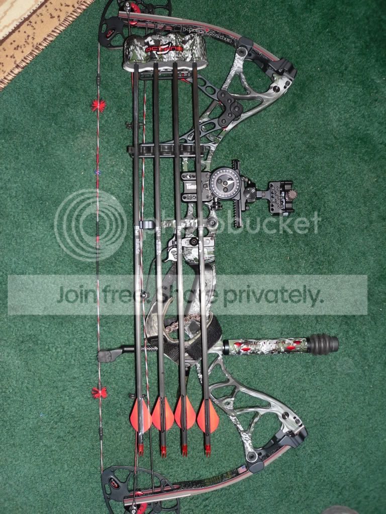 A thread for bow pics | Archery Talk Forum