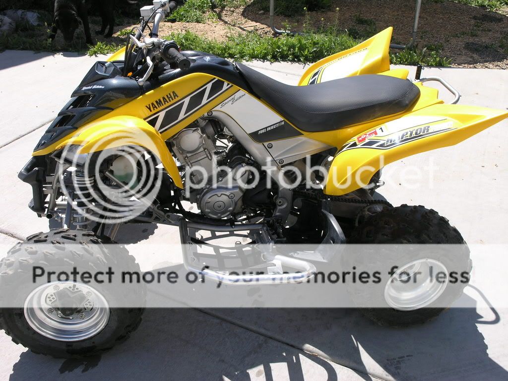 THE OFFICIAL '06 50th ANNIVERSARY RAPTOR 700 SE GALLERY | Modded ...