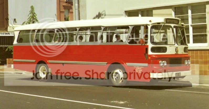 Sita & Sitch Red Buses