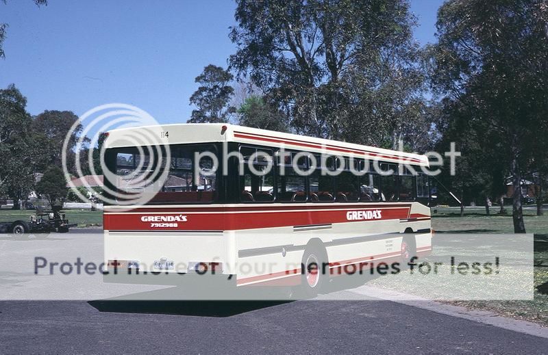 looking for a bus - Grenda #314